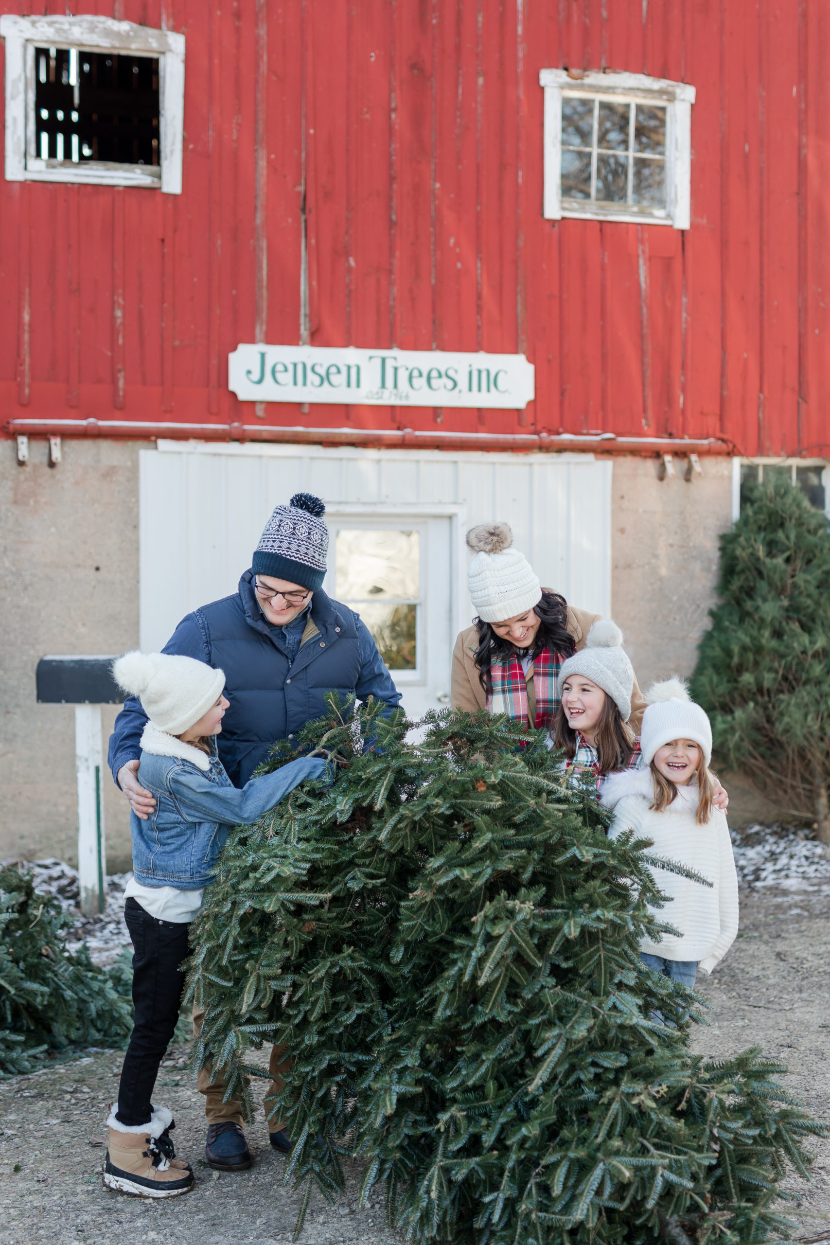 O’Christmas Tree | Our Country Home